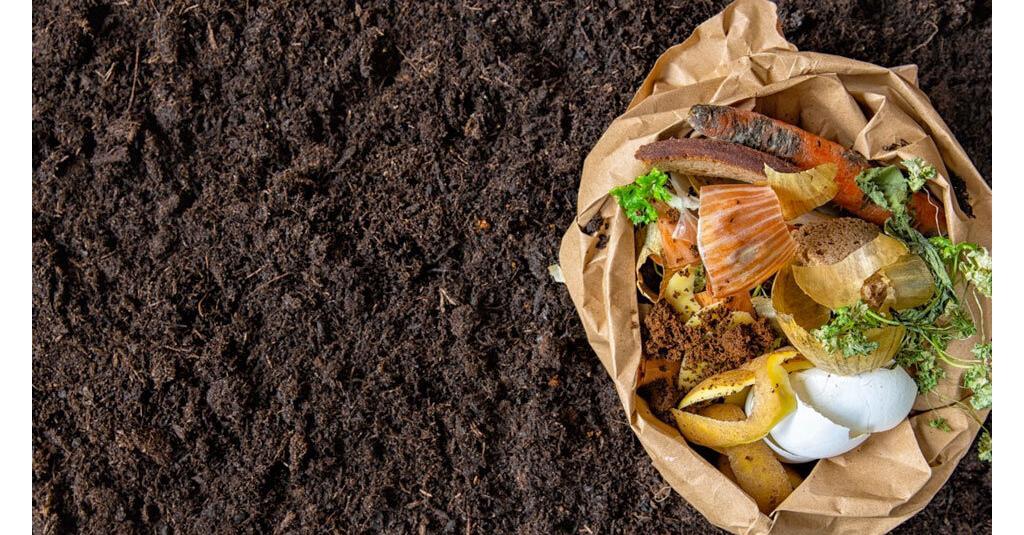 Tackling food waste in restaurants. - Phenium Food and Workplace Safety ...